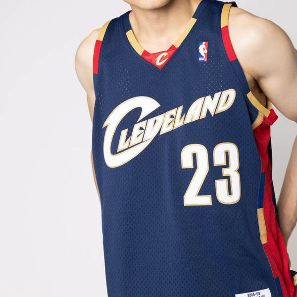 LeBron James 2008 Cleveland Cavaliers Hardwood Classic Swingman Altern ...