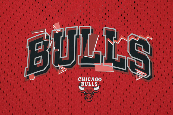 NBA Spray Effect With HD Print RF Jersey - Chicago Bulls – NBA Store ...